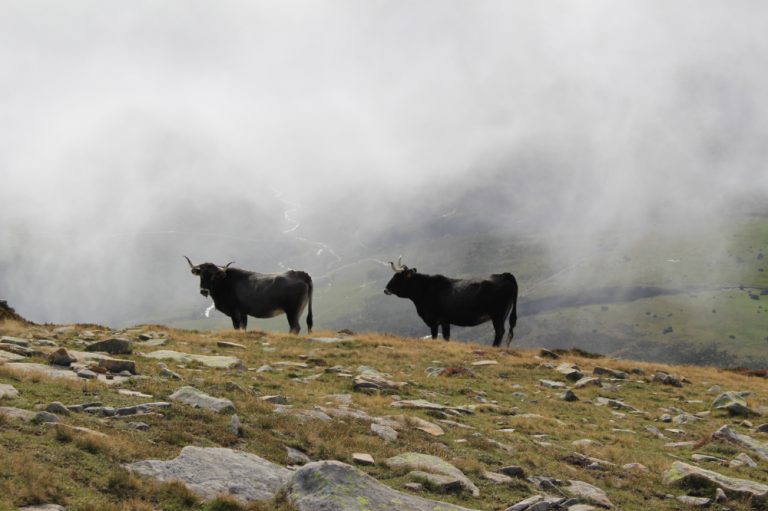 MendiaK: Cueto de la Concilla - Al filo de lo Improbable