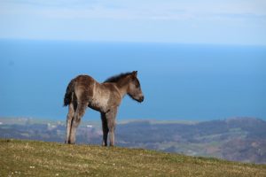 MendiaK: Ibio - Al filo de lo Improbable