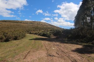 MendiaK: Ibio - Al filo de lo Improbable