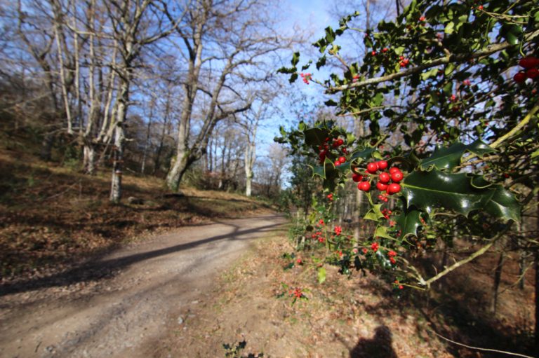 troke_35 - Al filo de lo Improbable